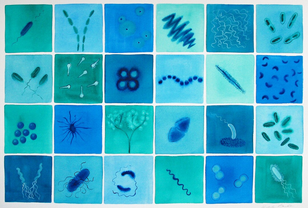 Microbial Fantasy Original Watercolor Painting of Bacteria - Etsy