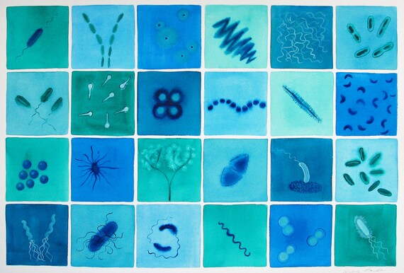 Microbial Fantasy Original Watercolor Painting of Bacteria - Etsy