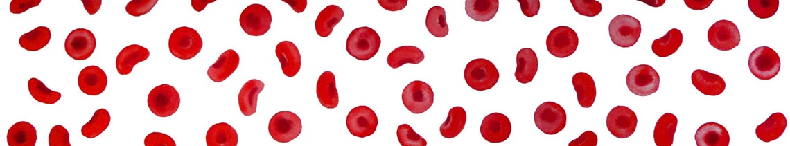 Red Blood Cells Silk Chiffon Scarf - Etsy