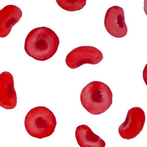 Red Blood Cells Silk Chiffon Scarf - Etsy