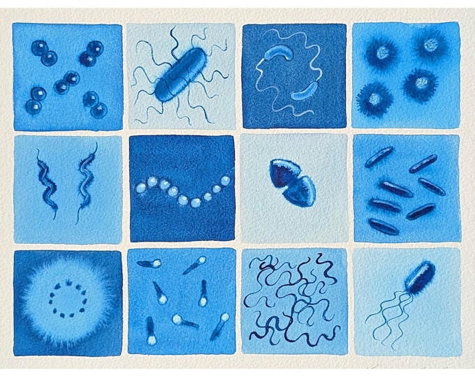 Blue Microbes - Original Watercolor Painting of Bacteria - Microbiology ...