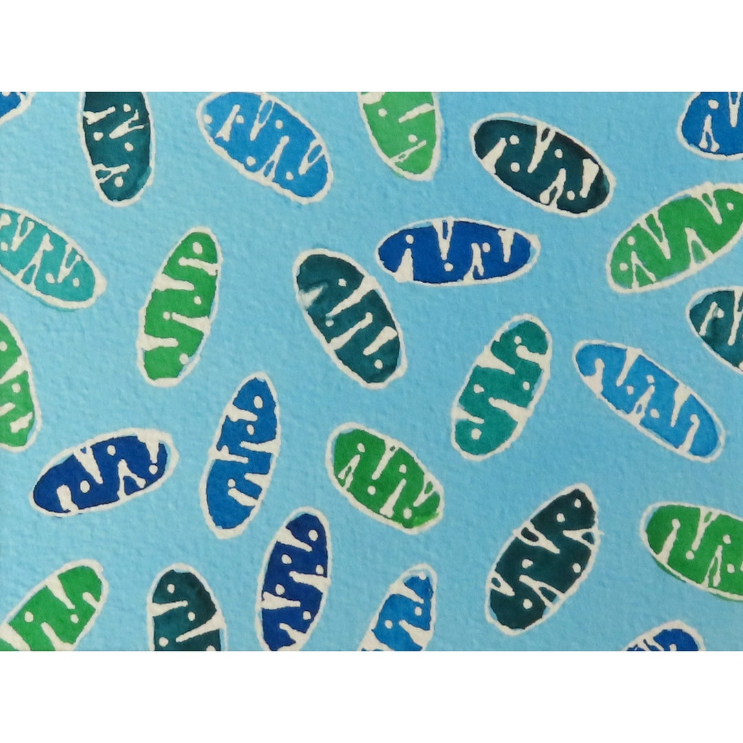 Blue and Green Mitochondria - Original Watercolor Painting - Cell ...