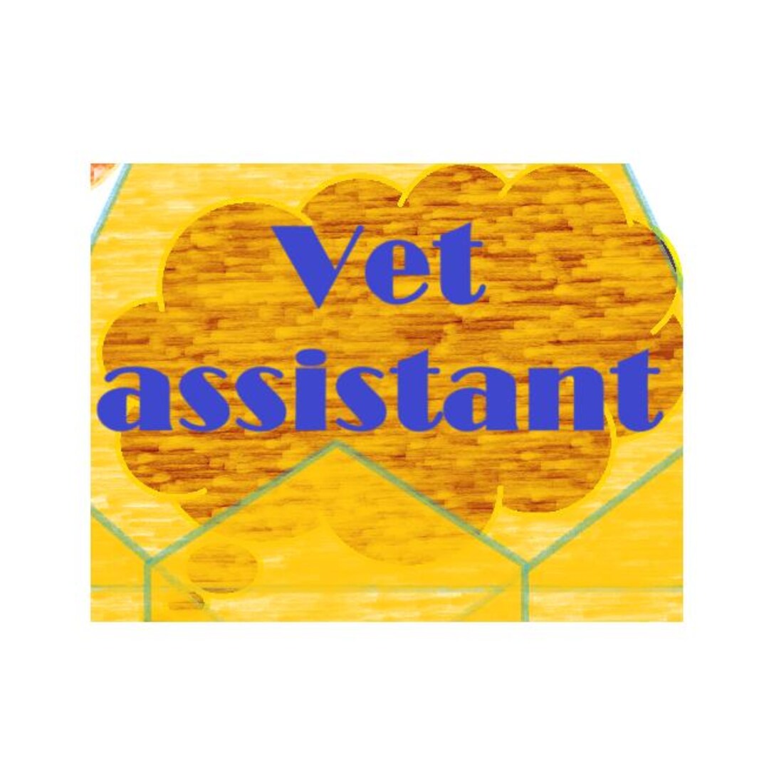 Complete Guide: Early Signs of Health Problems in Pets - Etsy