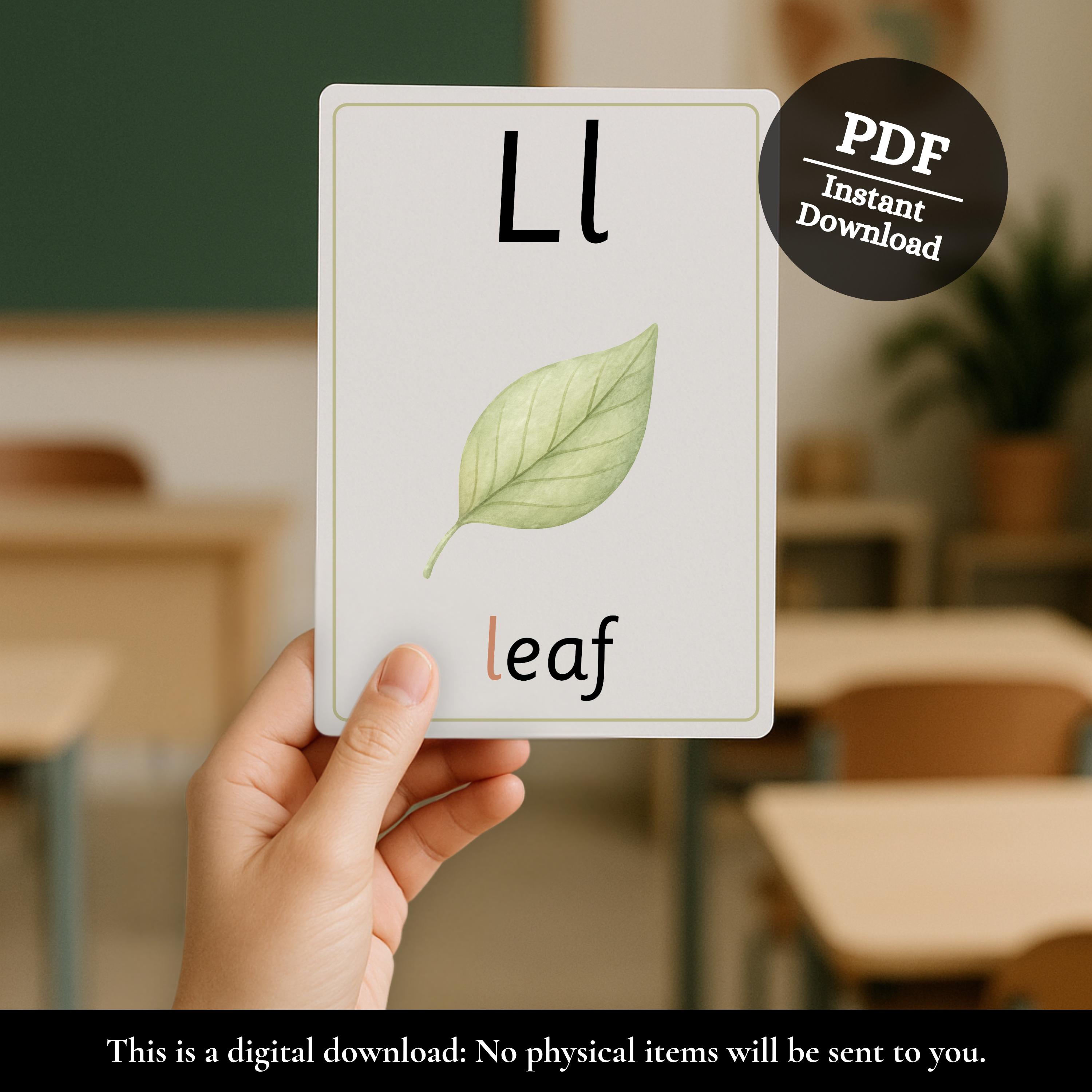 Alphabet Flashcards Learning Display Cards for Alphabet Flashcard ...