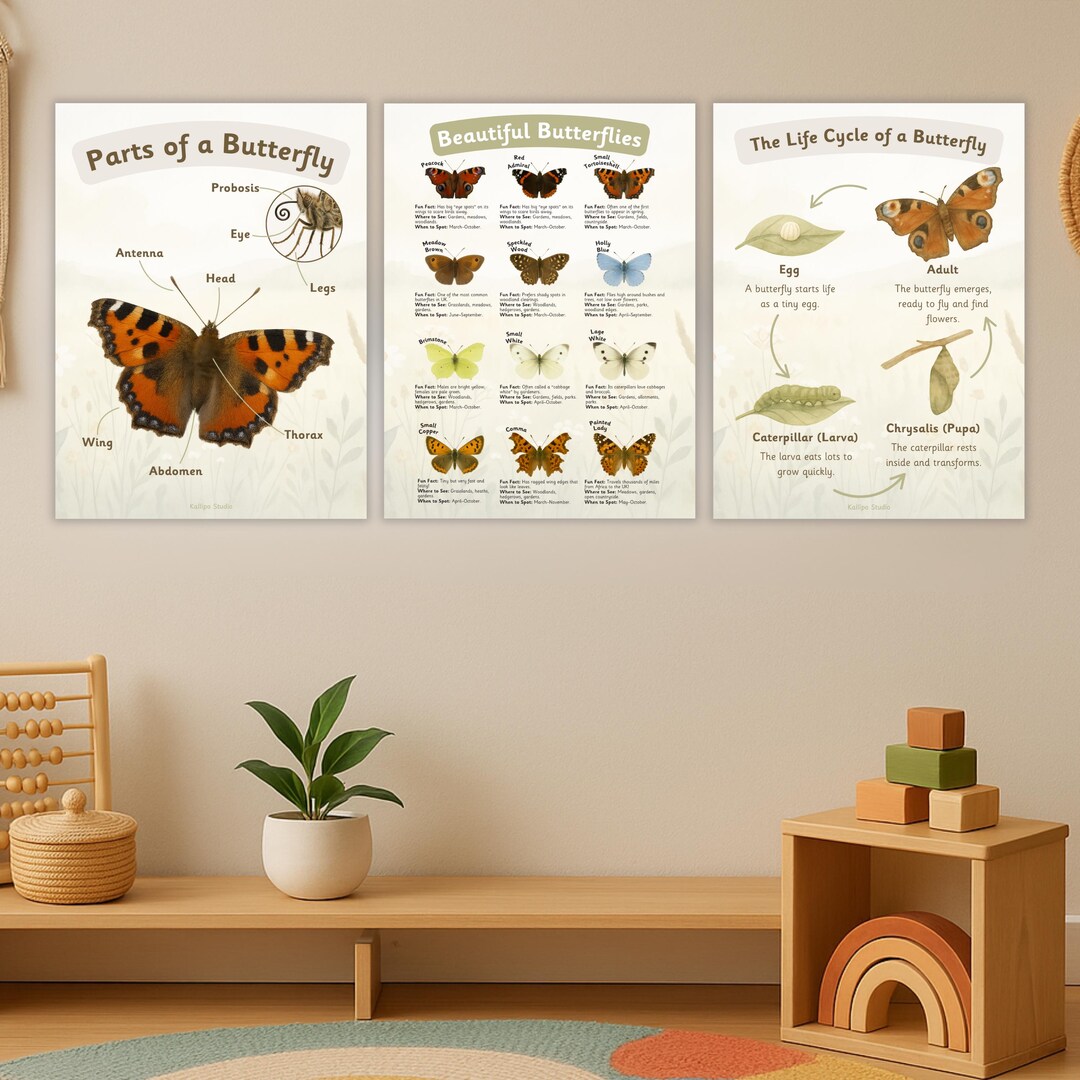 Butterfly Identification Poster UK Butterfly Identification Chart ...