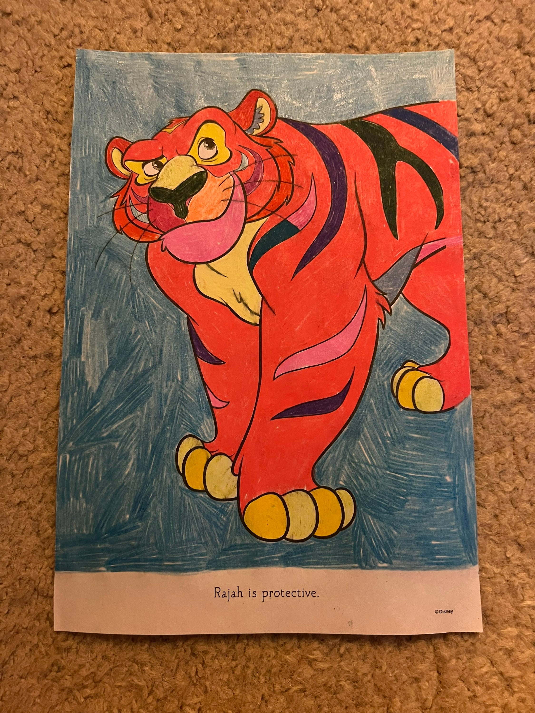 Aurora and Rajah Colored Double Sided Coloring Page - Etsy