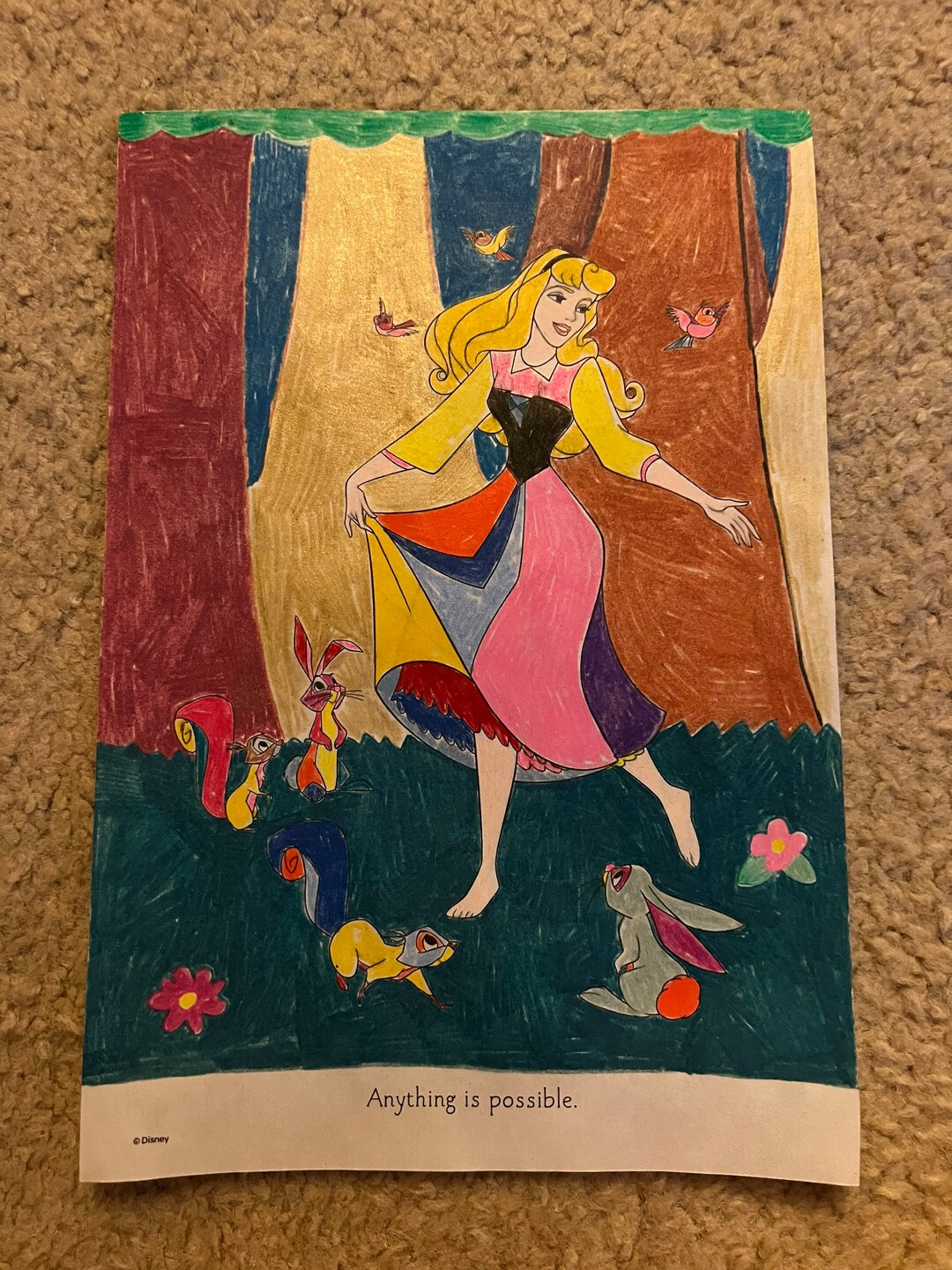 Aurora and Rajah Colored Double Sided Coloring Page Illustration ...