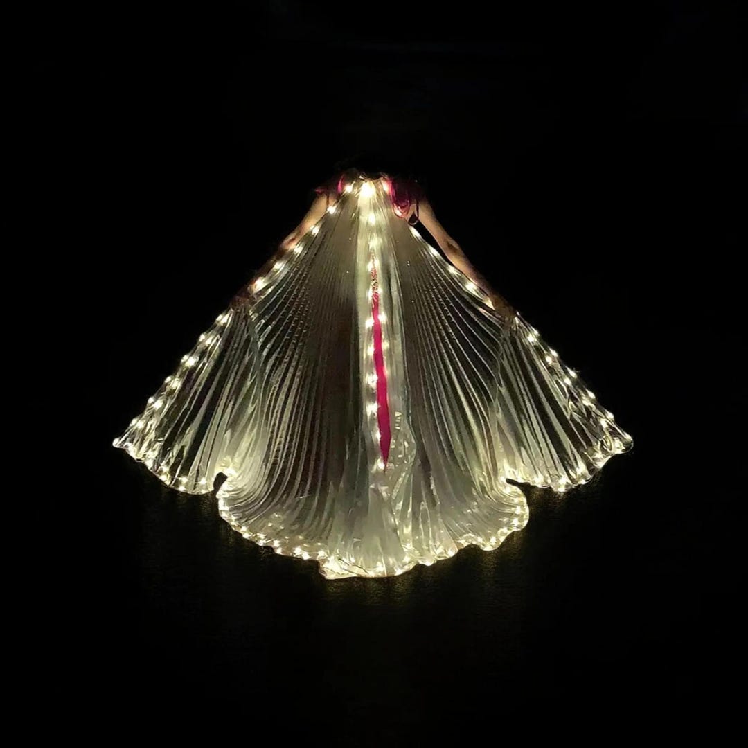 LED Light up Wings | Butterfly Wings | Belly Dance Wings | Festival ...