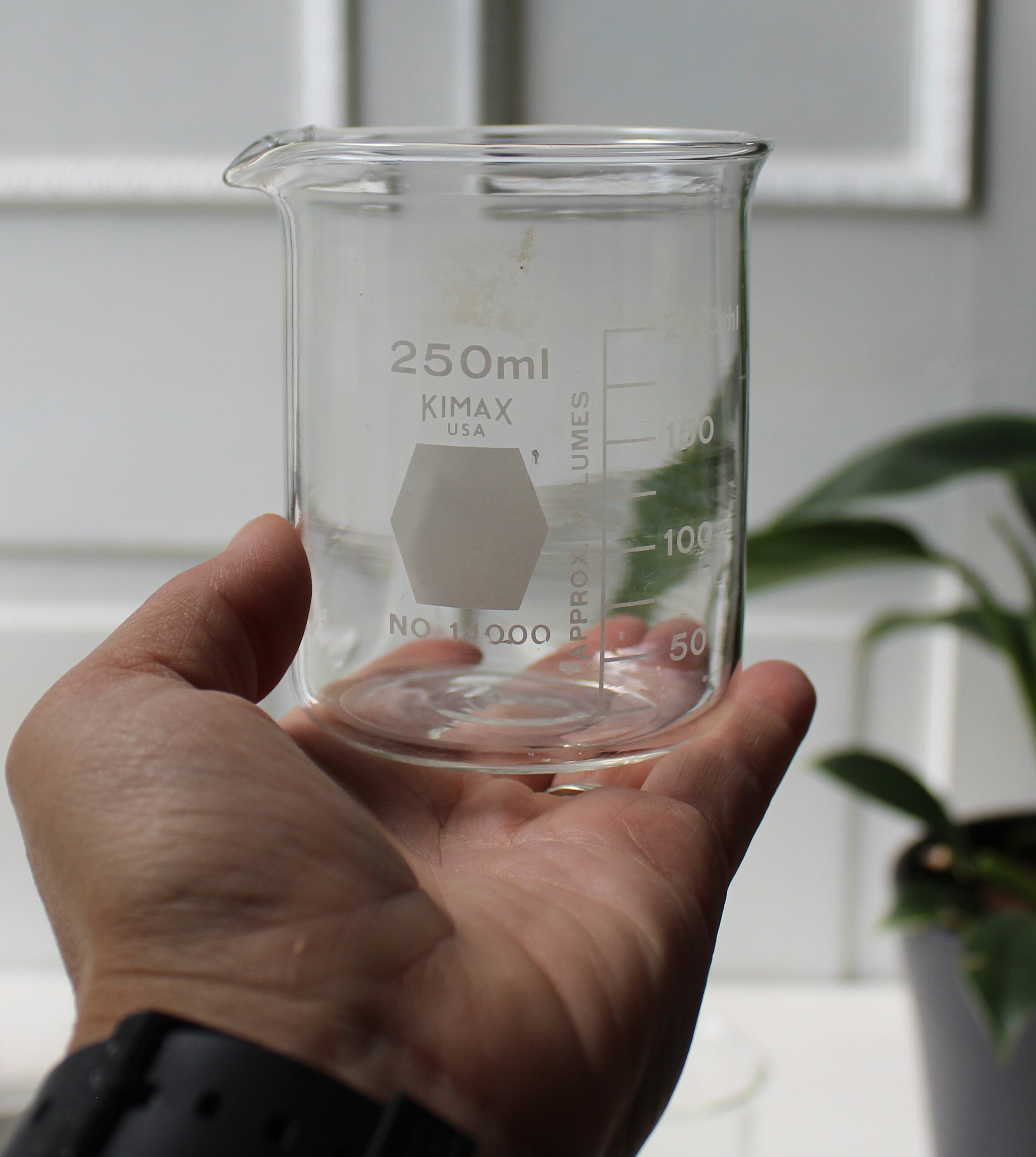 Vintage Pyrex Beaker 250 Ml – DIY Terrarium, Propagation Vase - Etsy