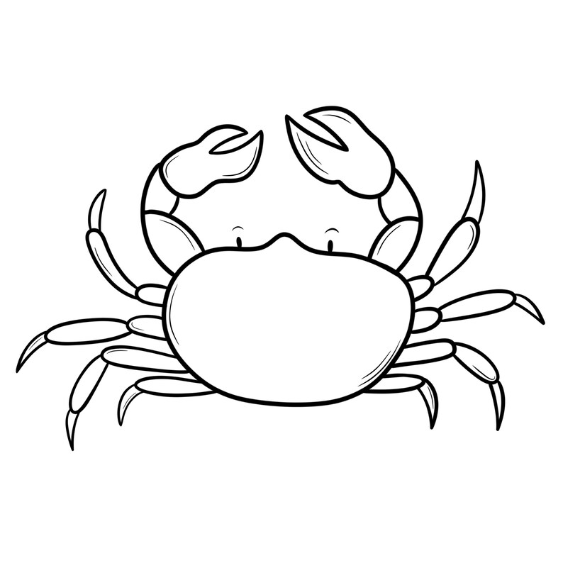 Beach Days Coloring Pages Sea Animals Instant Digital Download ...