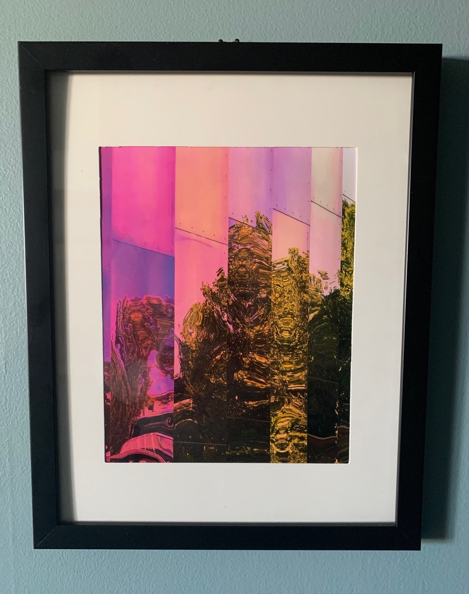 Original Framed Color Photography Print Seattle Nature | Etsy