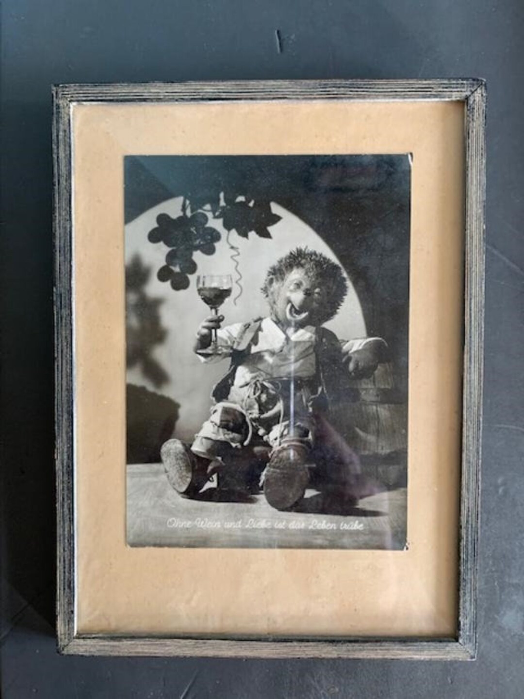 Vintage Midcentury German Hedgehog Framed Photos - Mecki - Ferdinand ...
