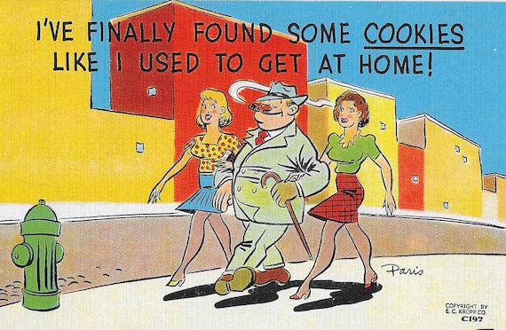 Vintage Postcard Memes Vintage Postcard 1952 This Country Cabin Would