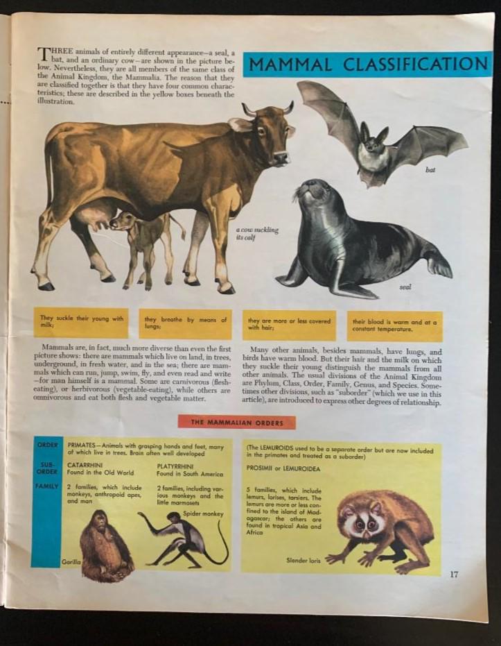 Vintage 1960's Children's Book - Knowledge Magazine - Volume One ...