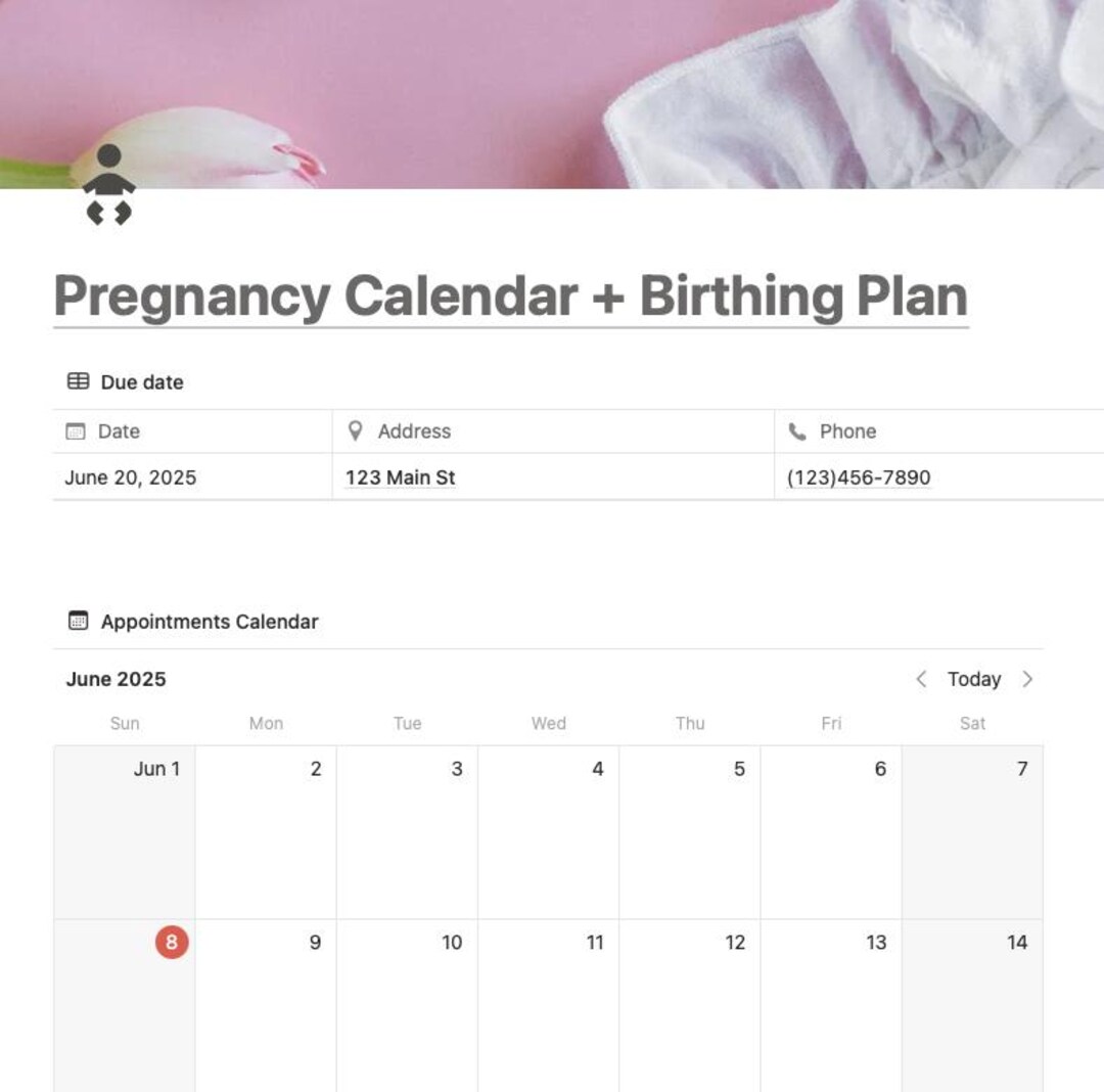 Notion Template Pregnancy Calendar Birthing Plan - Etsy