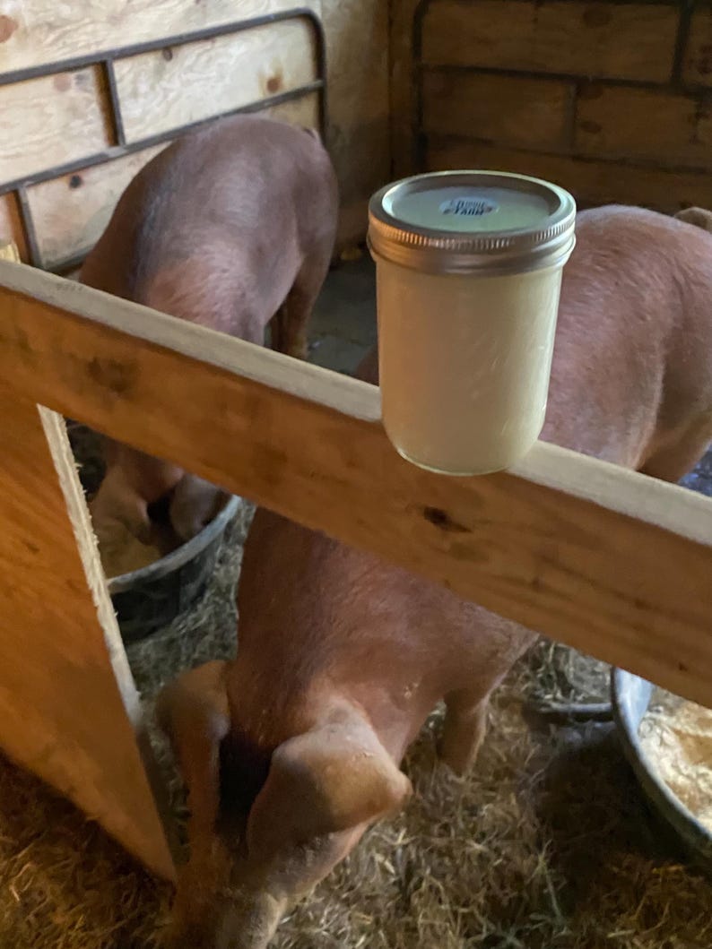 Pastured-raised Pig Lard | Triple Filtered | Old-line Duroc Pigs - Etsy