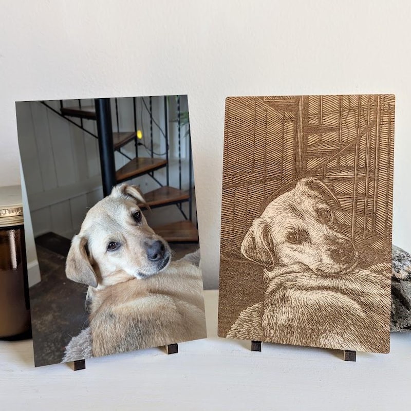 Wood Burn Pet Art - Etsy