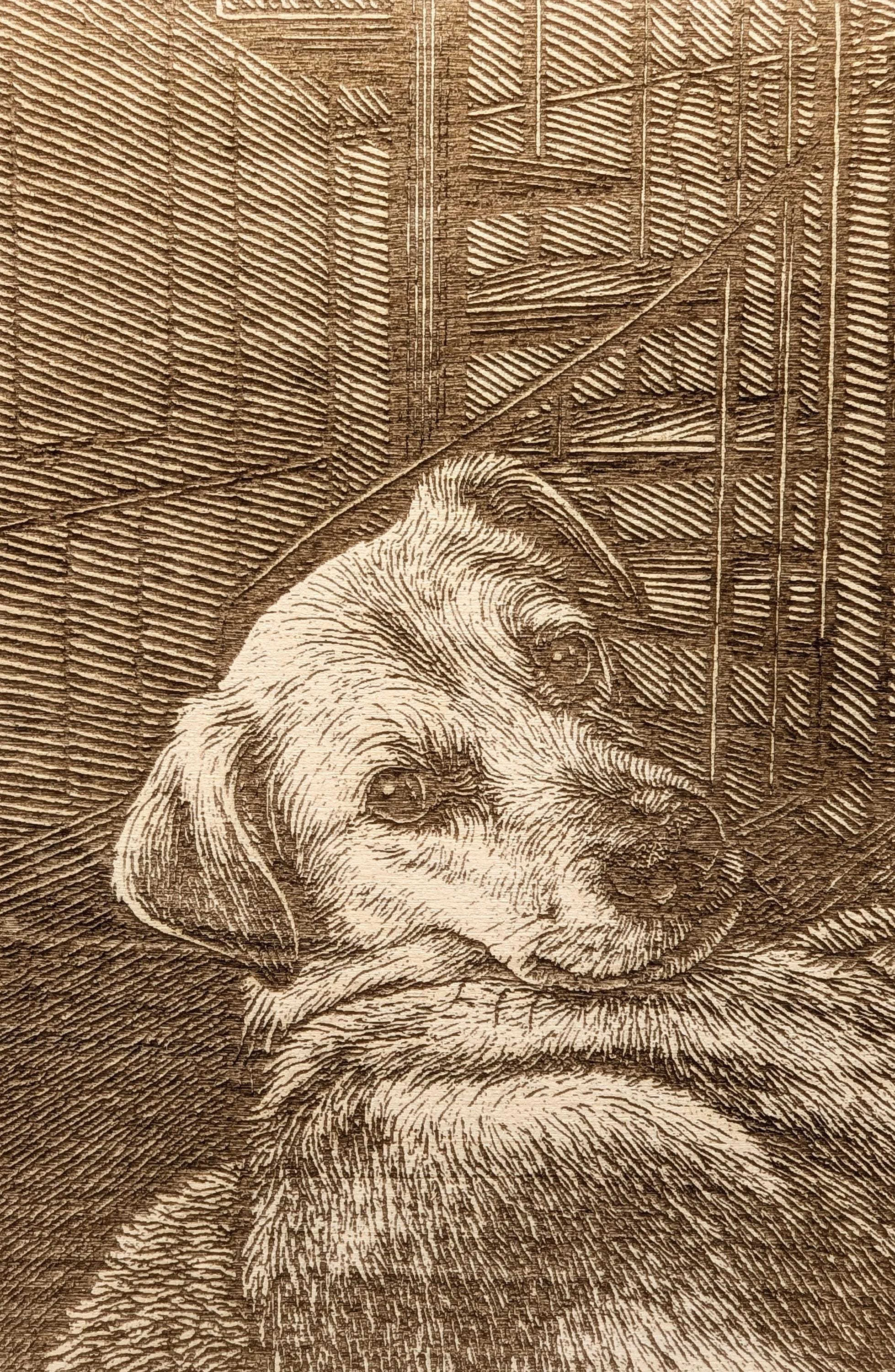 Engraved Wood Pet Portrait: Custom Dog or Cat Photo, Woodcut Style - Etsy