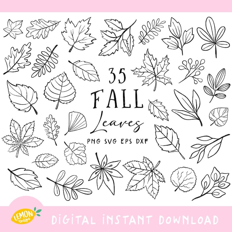 Fall Leaves Outline Clipart Bundle: Autumn Leaf PNG SVG Cut Files ...