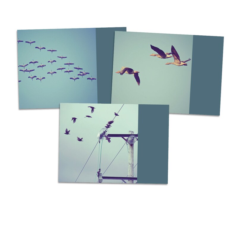 3 Postcards flight Lesson Postcard Card - Etsy