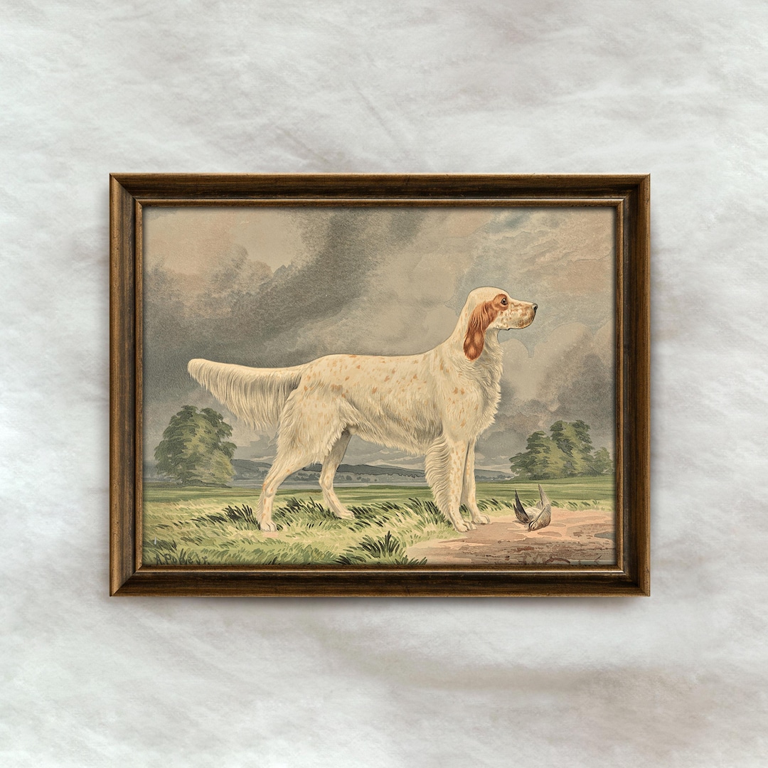 Vintage English Setter Painting | Antique Dog Wall Decor | Canine ...