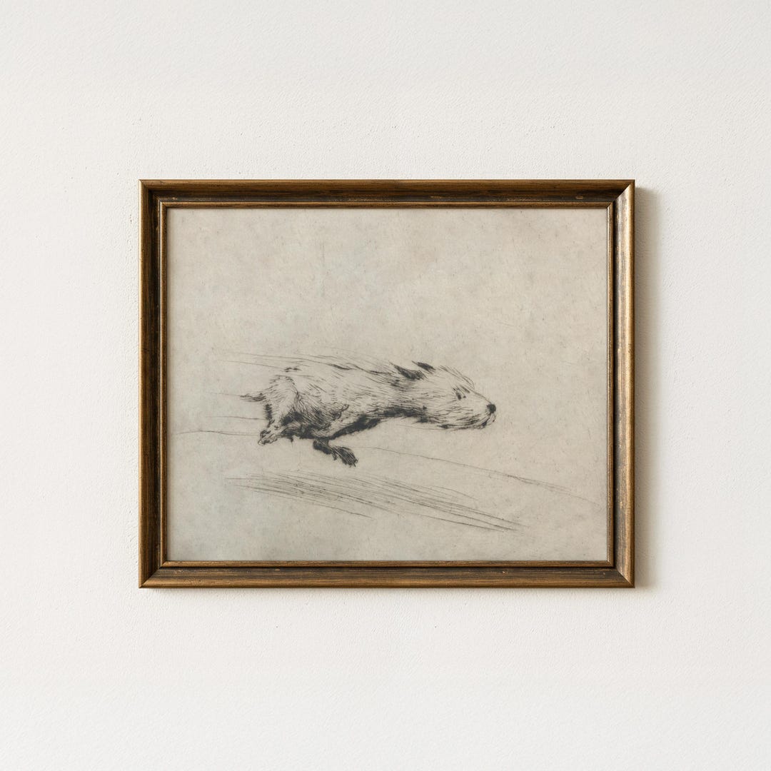 Dog With Zoomies | Antique Dog Portrait Drawing | Minimalist Pet ...