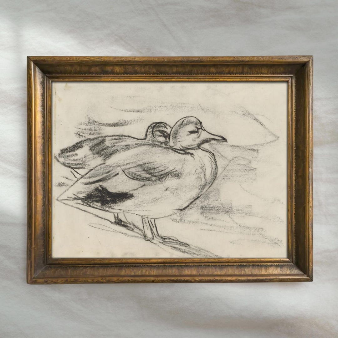 Vintage Duck Charcoal Drawing | Antique Waterfowl Bird Wall Art ...