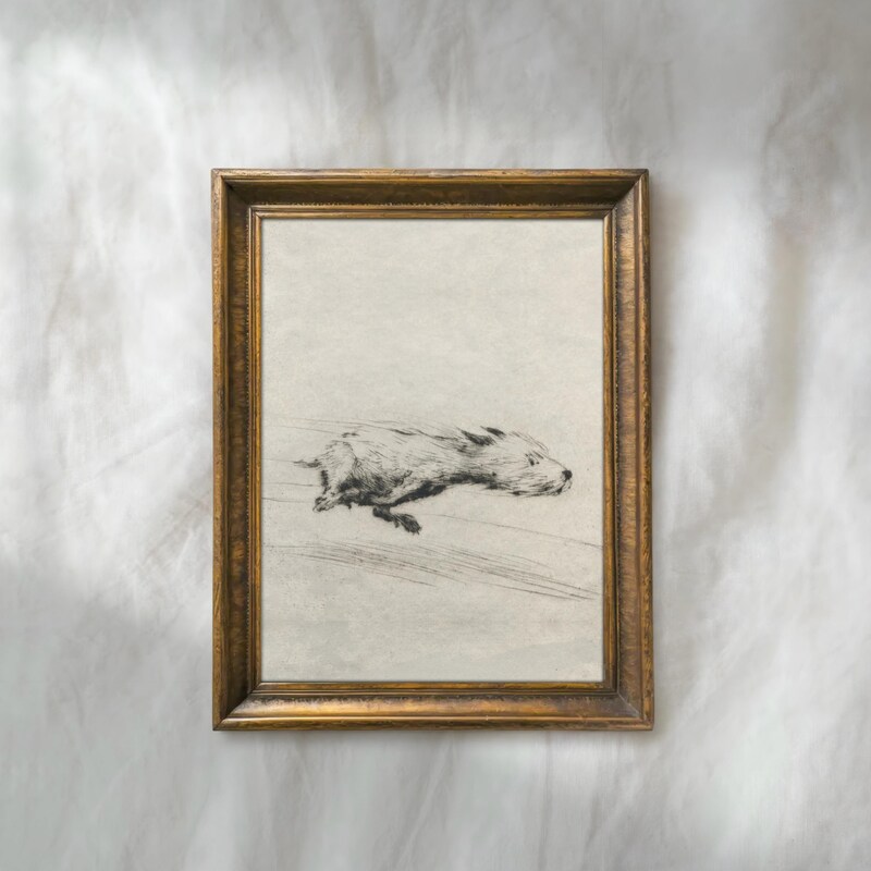 Dog With Zoomies Art - Etsy