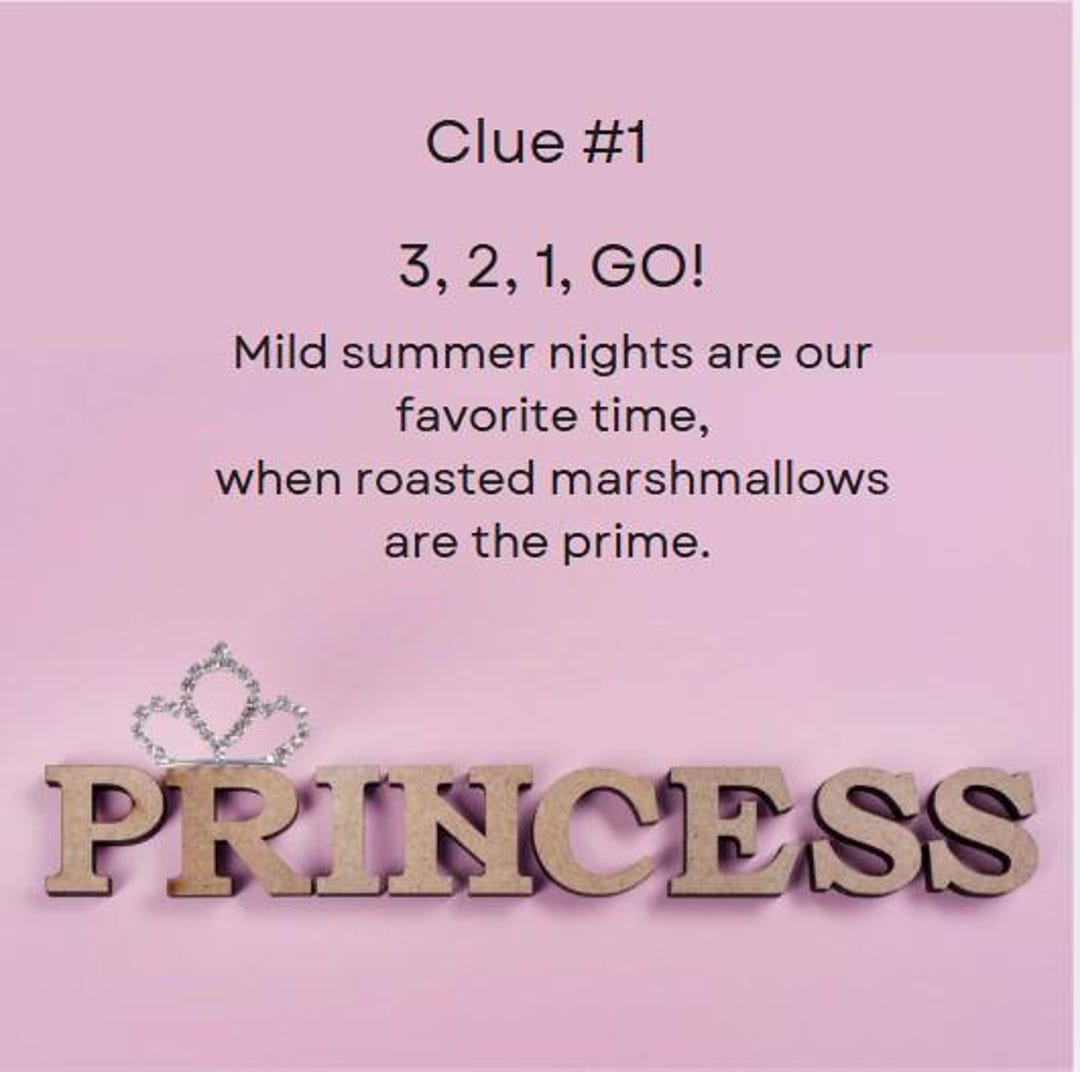 Princess Themed Scavenger Hunt for Kids, Party, Easter - Etsy
