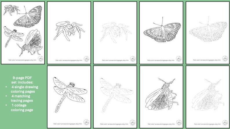 Realistic Bugs Coloring and Tracing Pages - Etsy