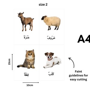 Arabic FARM ANIMALS Flashcards PDF • Montessori Inspired Real Picture ...