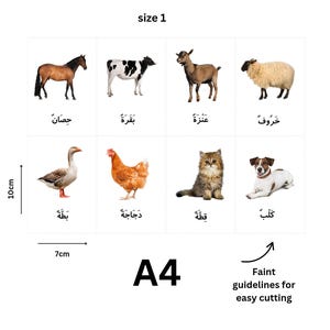 Arabic FARM ANIMALS Flashcards PDF • Montessori Inspired Real Picture ...