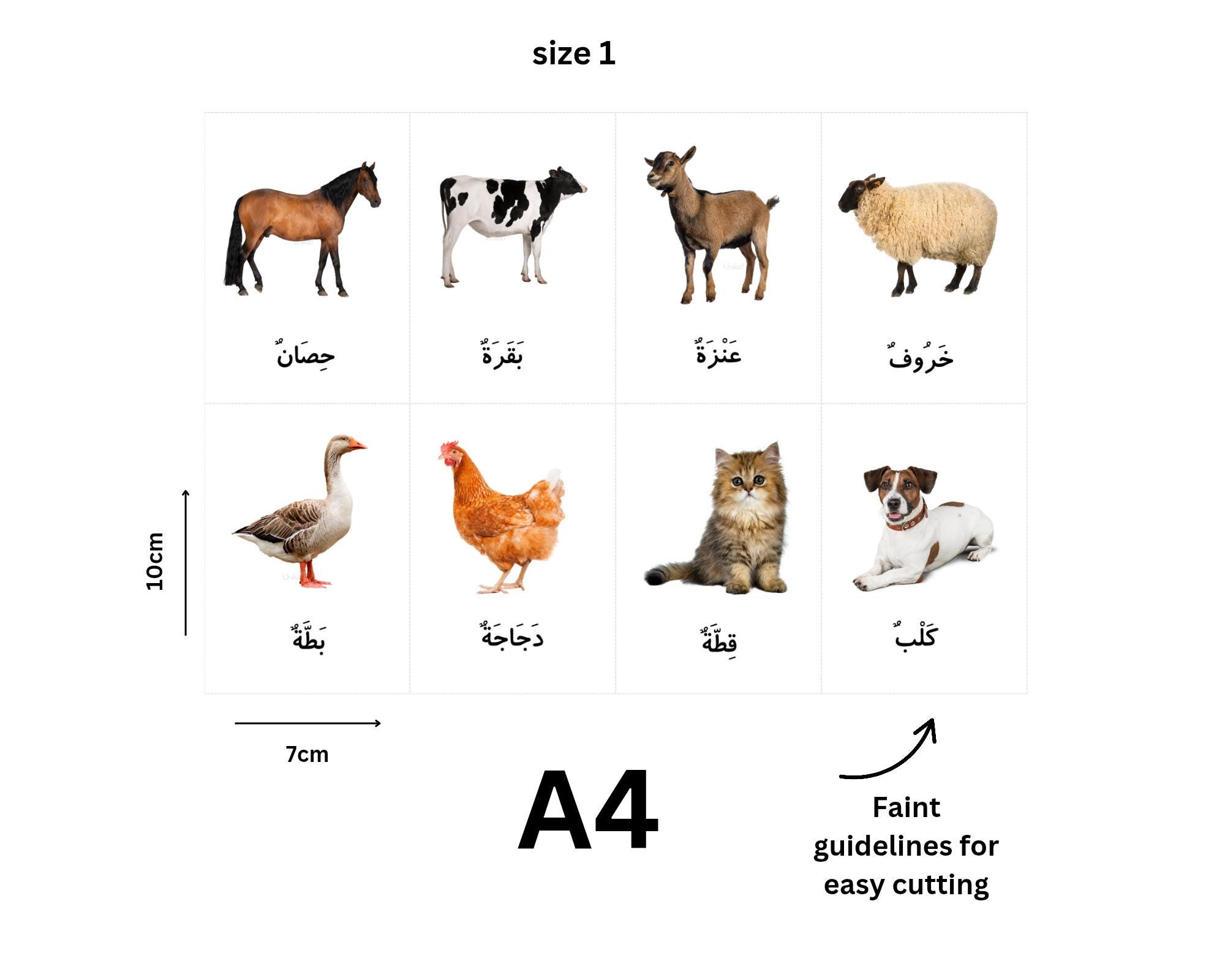 Arabic FARM ANIMALS Flashcards PDF • Montessori Inspired Real Picture ...