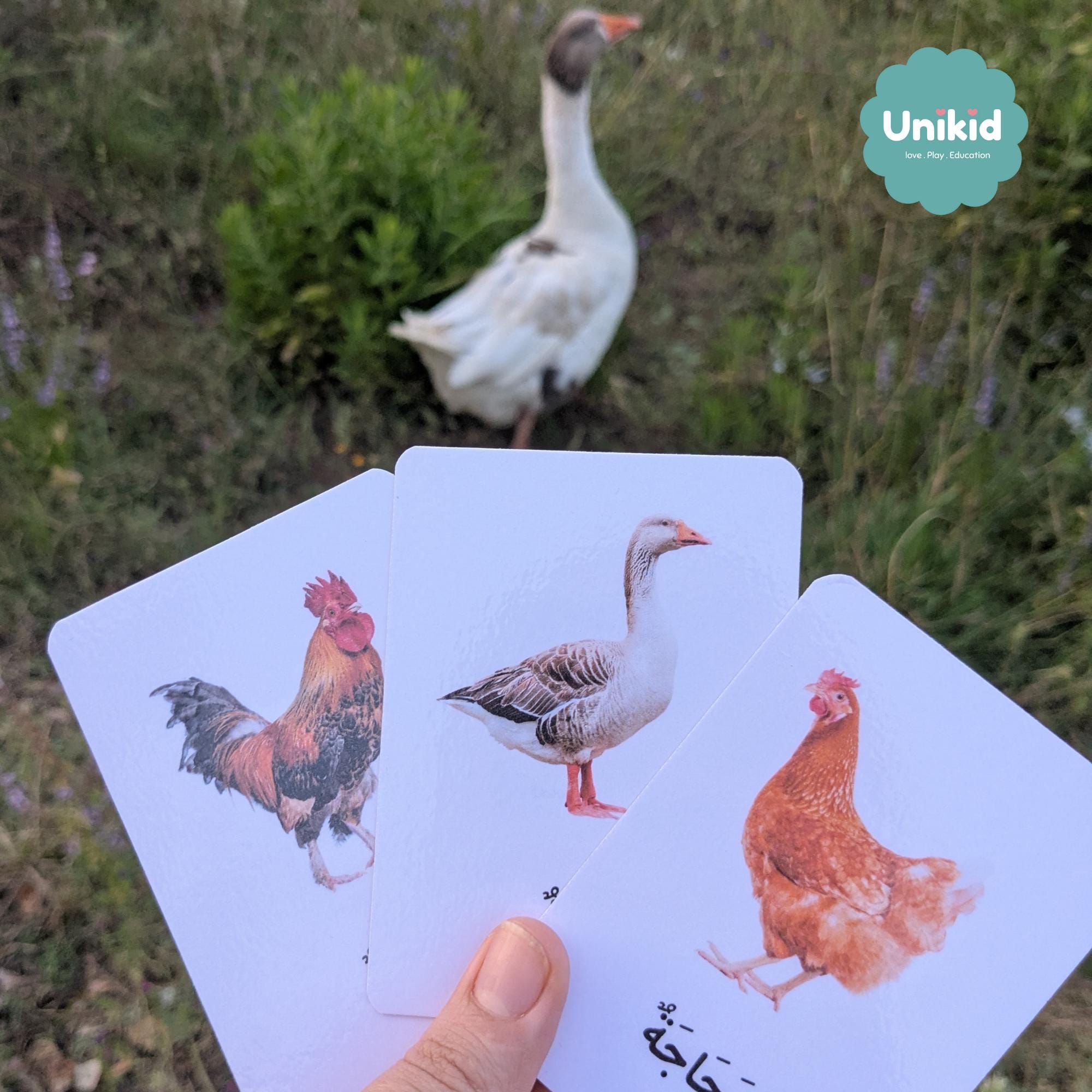 Arabic FARM ANIMALS Flashcards PDF • Montessori Inspired Real Picture ...