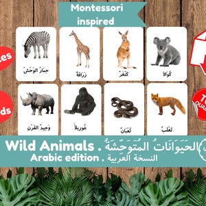 Arabic WILD ANIMALS Flashcards PDF • Montessori Real Picture Cards ...
