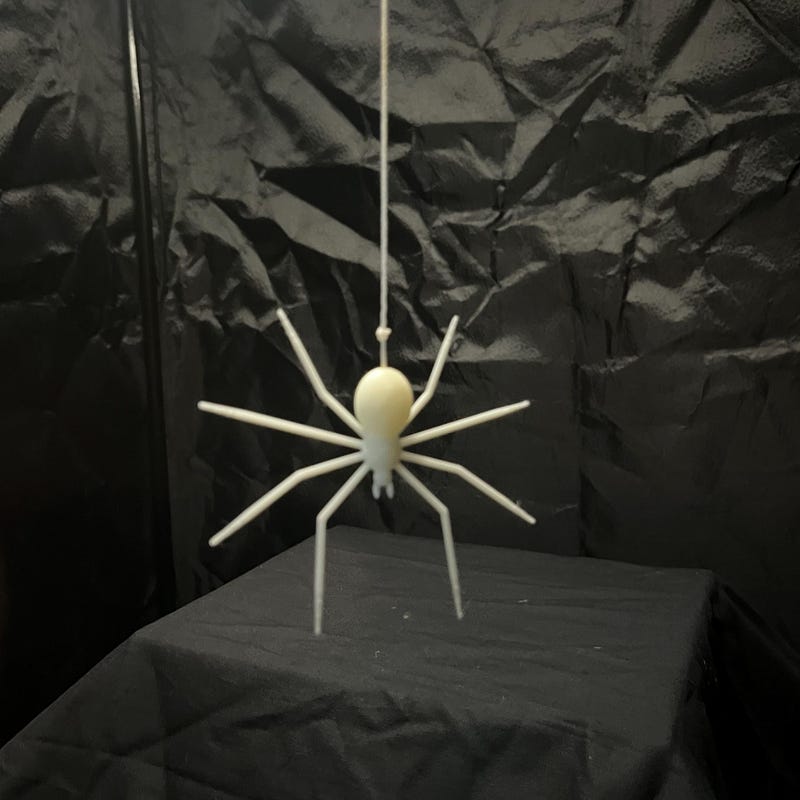 Spider Gag - Etsy