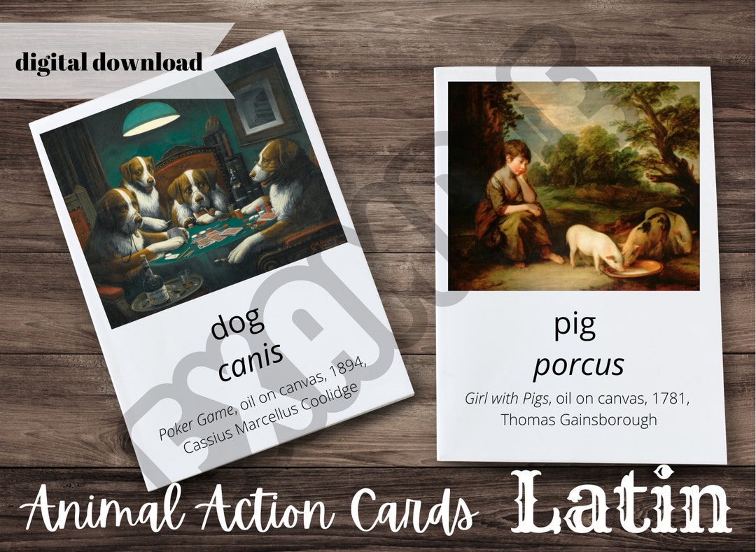 Classical Conversations Game, Latin Game, Memory Work, CC Game, CC ...
