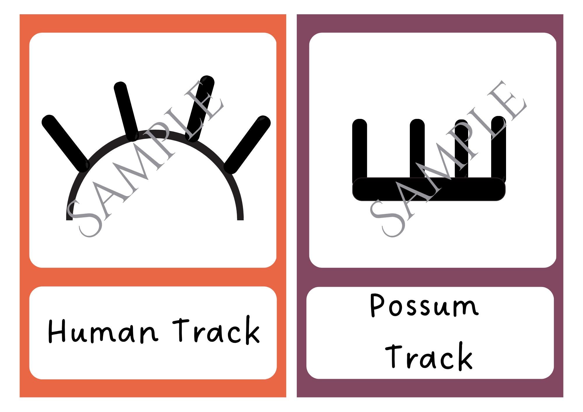 Australian Indigenous Symbols, Flash Cards, Picture Cards, Printable ...