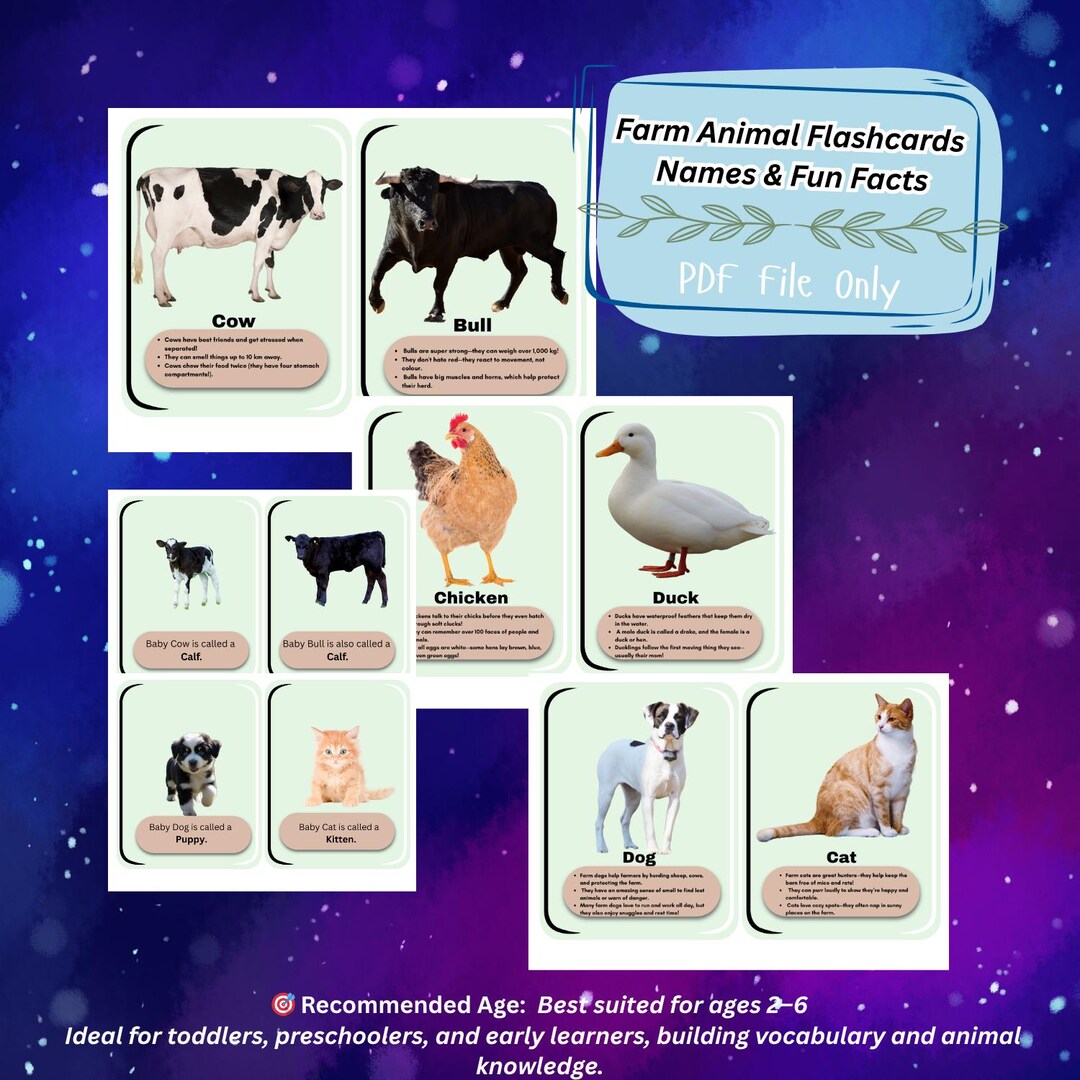 Farm Friends: Animal Flashcards for Kids – Names & Fun Facts - Etsy