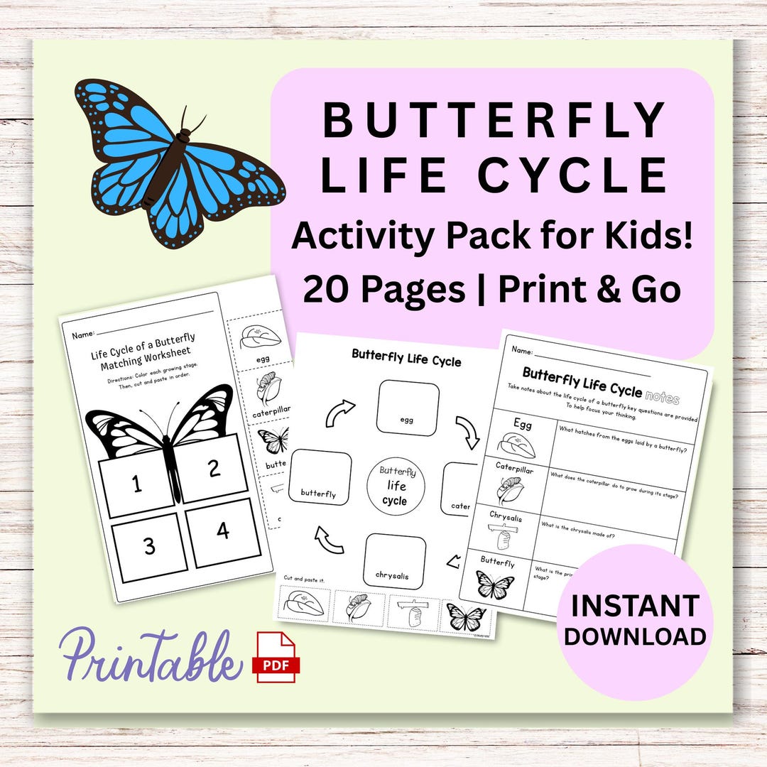 Butterfly Life Cycle Printable Activity Pack | 20 Pages PDF | Grades 1 ...