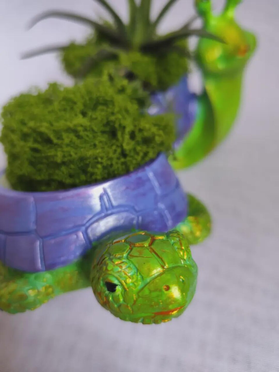 Large Flowerpot "turtle", Hand Painted 17x12x5 Cm - Etsy