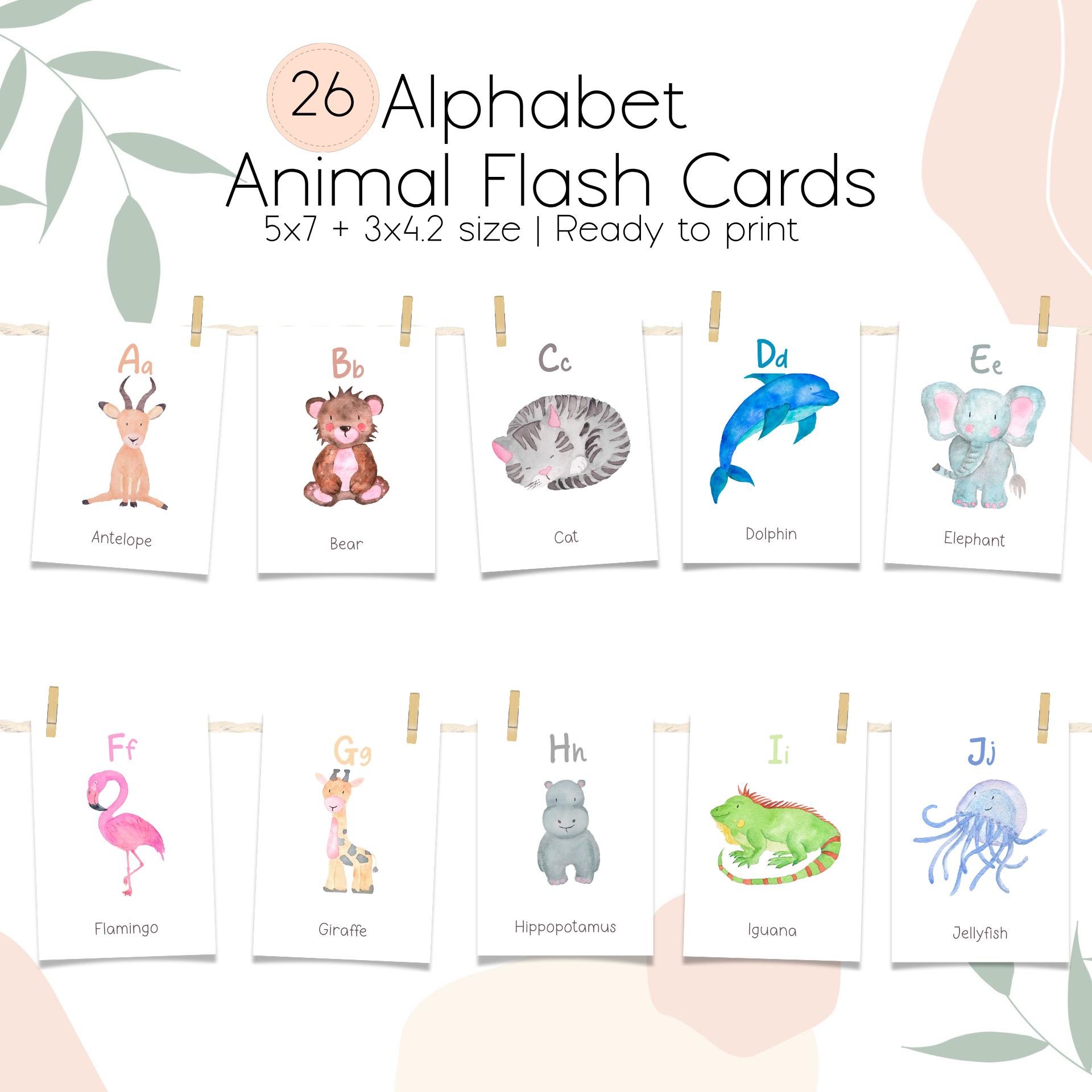 Watercolor Animal Alphabet Flashcards • A–Z Animal Cards for Small ...