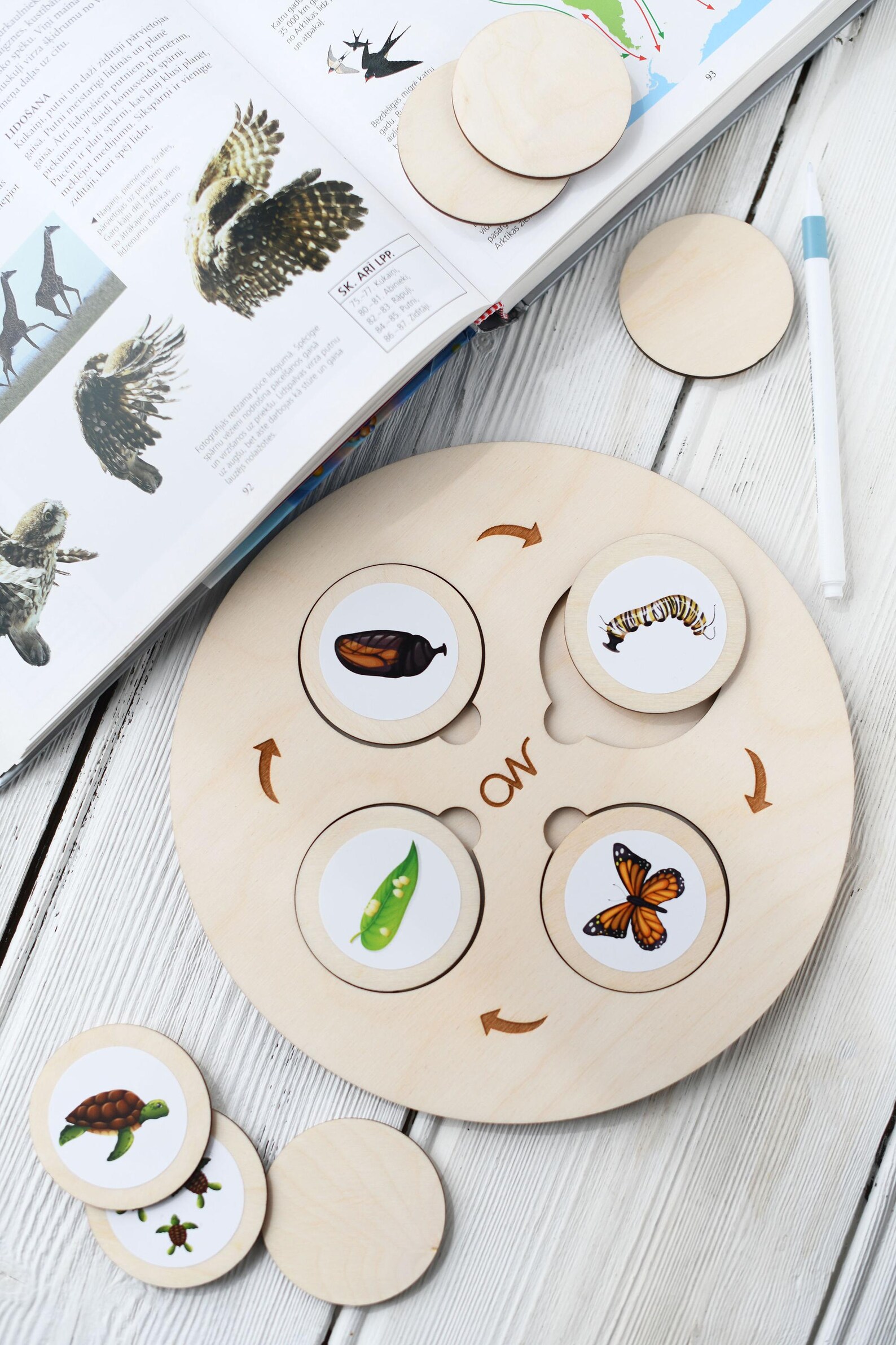 Montessori Life Cycle Wooden Learning Toy: STEM Educational Material - Etsy