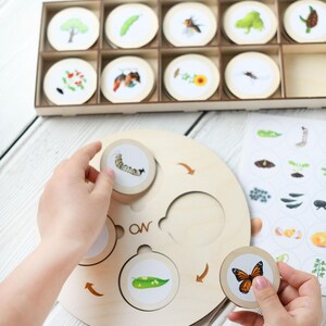 Montessori Life Cycle Wooden Learning Toy: STEM Educational Material - Etsy