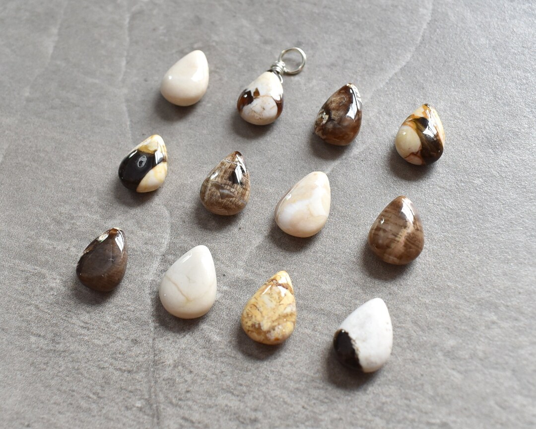 B Australian Peanut Wood Jasper Pendant Petrified Wood Fossil Gemstone ...