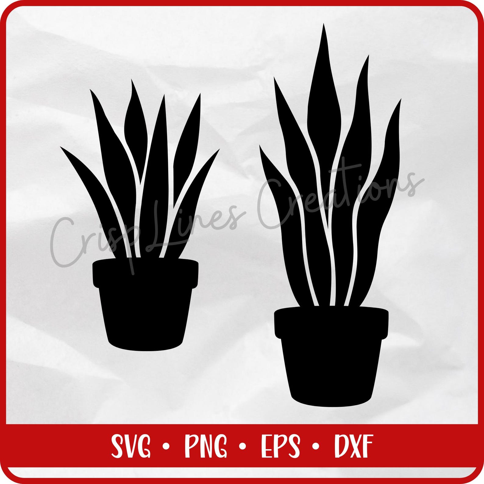 Snake Plant SVG | Sansevieria Silhouette Clipart | 2 Potted Plant Cut ...