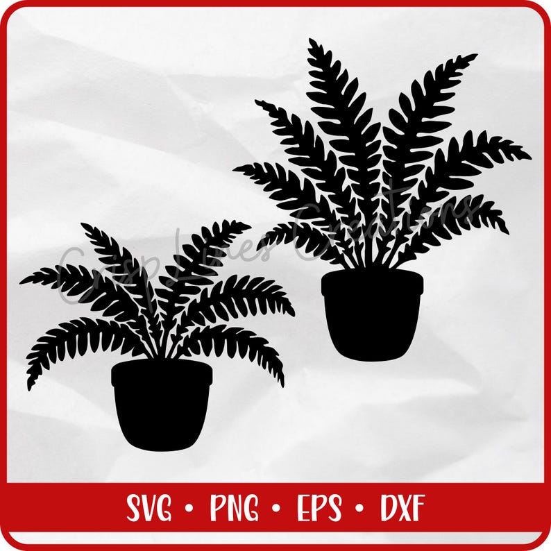 Fern SVG | Minimalist Potted Fern Plant Silhouette Cut File | Leafy ...