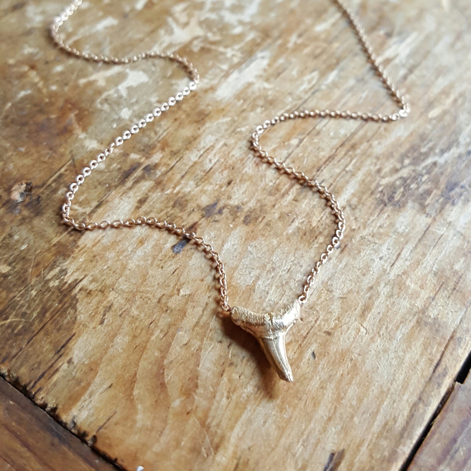 14K Gold Shark Tooth Necklace Rose Gold Shark Tooth | Etsy