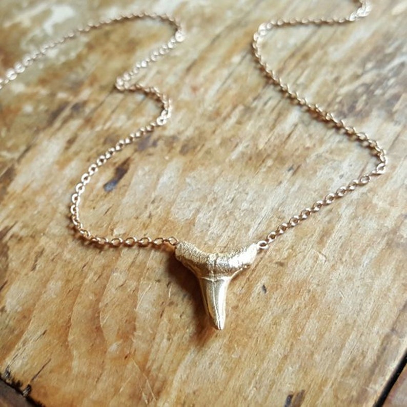 14K Gold Shark Tooth Necklace Rose Gold Shark Tooth | Etsy