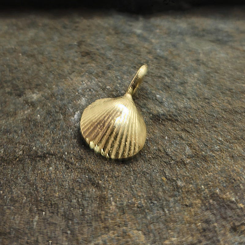 Seashell Charms - Etsy